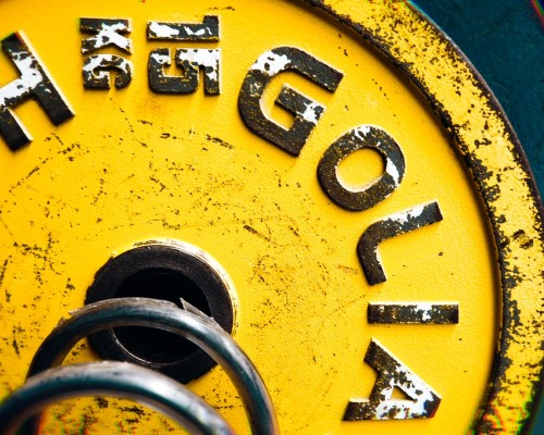 Learn About Our Unique Gym Experience | Leading Christchurch Gym ...