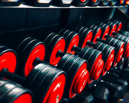 Learn About Our Unique Gym Experience | Leading Christchurch Gym ...